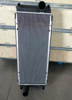 China Excavator Radiator 17248047 17554008 for EC220D EC200D W205D EC200B EC210D EC210C EC240D 89x33x27 for sale