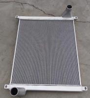 China Excavator Intercooler 13F13000 for DH300-7 High Quality Silver Compact Design 1 Year Warranty for sale