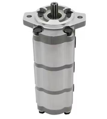 China Excavator Hydraulic Gear Pump 801-052000 for YC13 YC15 1 Year Warranty for sale