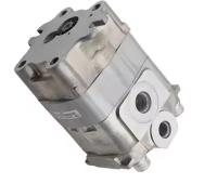 China Excavator Gear Pump AP2D36 VIO80 IHI80 Pilot Pump Assy 1 Year Warranty for sale