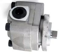 China Excavator E312C SBS80 Hydraulic Pilot Oil Pump 4I-1023 173-1203 341-2860 Charging Pump for sale