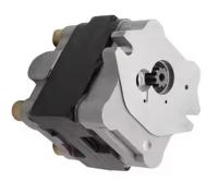 China Nachi PVD-1B-32CP-8G5-5022 Gear Pump Charge Pump for Excavator 32cc High Quality for sale