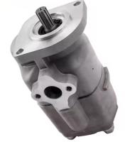 China Hydraulic Pump for Kubota L2950 L2250 L2850 L3450 L3250 Tractor 31391-76103 for sale