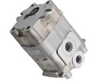 China Excavator Hydraulic Gear Pump 290-3628 for Mini Excavator E305 305.5 High Quality for sale