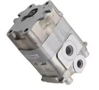 China Excavator AP2D Series Hydraulic Pump AP2D12 AP2D16 AP2D18 AP2D21 AP2D25 AP2D28 AP2D36 210 Bar for sale