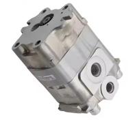 China Excavator Pilot Pump Gear Pump AP2D36 290-3628 for E305 E305.5 Hydraulic Gear Pump for sale