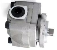 China E312C Excavator SBS80 Hydraulic Gear Pump 315 E315 Pilot Pump Parts 1731168 1731203 for sale