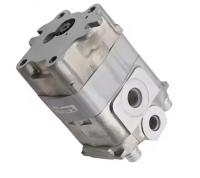 China AP2D Series Hydraulic Pump for Excavator 12-36cc High Pressure Variable Displacement for sale