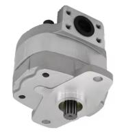 China Hydraulic Gear Pump 705-22-29070 for Komatsu PW75R-2 PC75-1 21cc Excavator Parts for sale