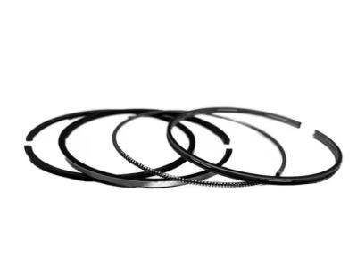 China 34317-19011 Piston Ring for Mitsubishi Engine D06FR Sany 245H Excavator High Quality for sale
