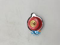 China 0.9/1.1/1.3 Bar Excavator Radiator Cover Repair Kits with Water Temperature Readout - Universal Fit for sale