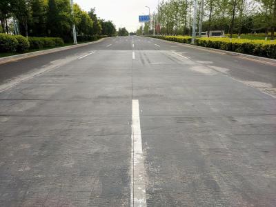 China Vehicle Overload Dynamic Weighing System Truck Overrun Control for sale