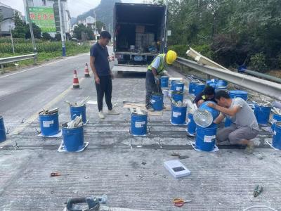 China Real-time Data Acquisition Vehicle Detection System With Speed Capabilities And System Speed Of 0.5-105km/h for sale