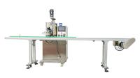 China Automatic Gear Pump Filling Machine with One Filling Head 20L SS316L PLC Control for sale