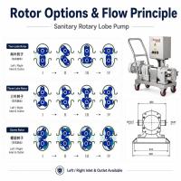 China SUS304 316L Stainless Steel High Viscosity Rotor Pump Mobile Cream Paste Transfer for sale