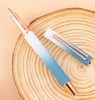 China Metal upright pen 0.28 erasable erasing pen.Special color pen Metal pen for students School metal pen for sale