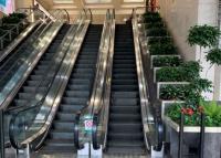China OEM VF Drive Shopping Mall Escalator Stainless Steel Indoor Electric Escalator for sale