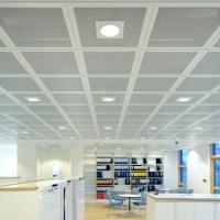 China Powder Coated Aluminum Ceiling Panels for sale