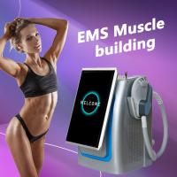 China Waterproof RF EMS Muscle Stimulator Machine , ABS EMS Fat Burning Machine for sale