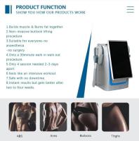 China Electromagnetic Muscle Stimulation Machine Non Invasive RF Slim Beauty Machine 5000W For Weight Loss for sale