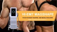China ABS EMS Body Sculpting Machine Commercial Electric EMS Muscle Stimulator for sale
