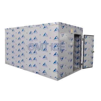 China 6Ton 20CBM Modular Freezer Room Air Cooled Customizable Keeping Fresh for sale