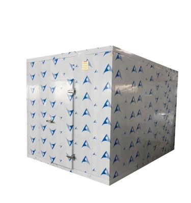 China 10CBM Cold Room Freezer Vegetables Fruits Fish Walk In Freezer Room High Capacity for sale