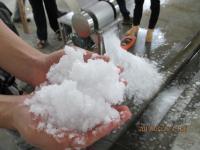 China High Productivity Block Ice Crusher Erosion Resistant Smooth Operation for sale