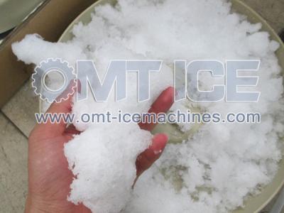 China Cooling Fish Industrial Ice Crusher Machine Stainless Steel Commercial Ice Crusher for sale