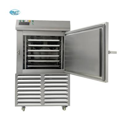 China Easy Control Blast Freezer Cold Room 8 Trays Food Grade For Shrimp And Seafood for sale