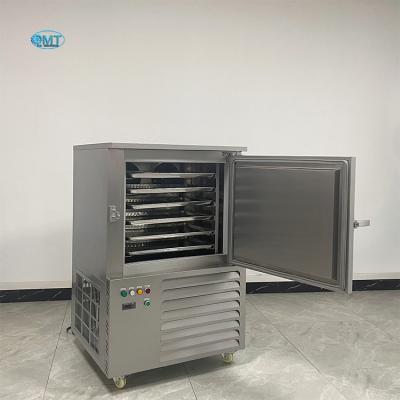 China 178L Quick Freezer Machine Stainless Steel Air Blast Freezer Food Processing for sale