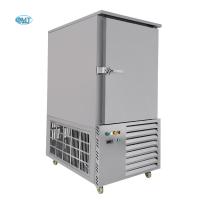 China Mobile Cryogenic Commercial Blast Freezer For Plate Freezing And Eco Friendly for sale