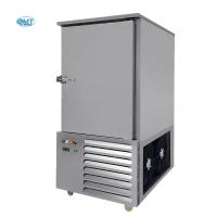 China Vegetables Quick Freezer Machine Iqf Blast Freezer With Temperature Control for sale