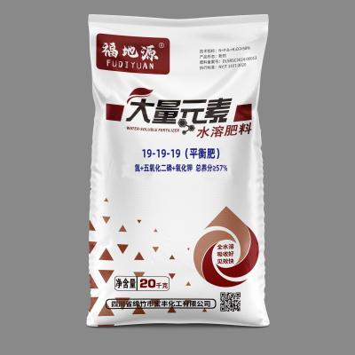 China Plant Growth Water Soluble NPK Customization NPK 19 19 19 Powder for sale