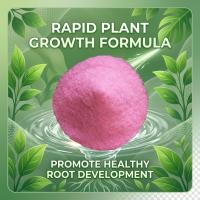 China 5kg/Bag Water Soluble Plant Fertilizer Quick Release NPK Fertilizer Powder for sale