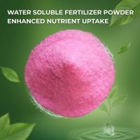 China Pink Water Soluble Tomato Fertilizer 25kg NPK 19 19 19 Powder for sale