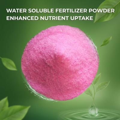 China Pink Water Soluble Tomato Fertilizer 25kg NPK 19 19 19 Powder for sale