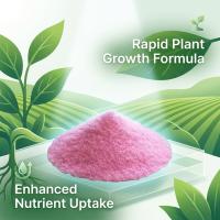 China Plant Water Soluble NPK Fertilizer High Phosphorus NPK Powder for sale