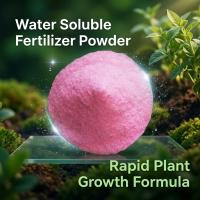 China 25kg/Bag Water Soluble NPK Fertilizer 19-19-19 White Powder for sale