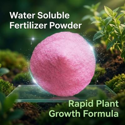 China 25kg/Bag Water Soluble NPK Fertilizer 19-19-19 White Powder for sale