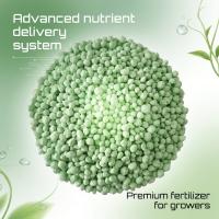 China Dry Storage NPK Blend Fertilizer 90%Min Green NPK Granular 25kg for sale