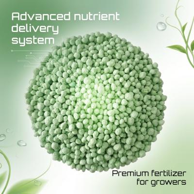 China Dry Storage NPK Blend Fertilizer 90%Min Green NPK Granular 25kg for sale