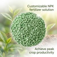 China High Nitrogen Content Compound NPK Granular Fertilizer Customization for sale