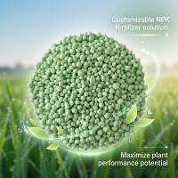 China 15-5-20 NPK Mixture Fertilizer Customized NPK Compound Granular for sale