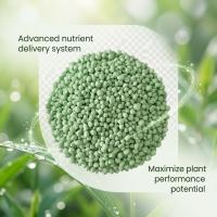 China Customization Green NPK Compound Fertilizer Nitrophoska 15-5-20 for sale