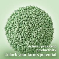 China High Nitrogen NPK Compound Fertilizer Customized NPK Green Fertilizer for sale