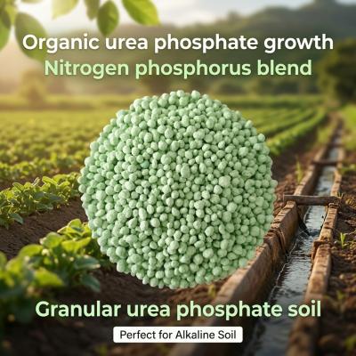China Alkaline Soil Chemicals Fertilizer Urea Phosphate NPK 17 44 0 for sale