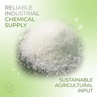 China Highly Soluble Monoammonium Phosphate NPK For Soil Improvement In Agriculture for sale