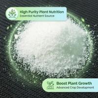 China 61% Phosphorus MAP Monoammonium Phosphate 50Kg Mono Ammonium for sale
