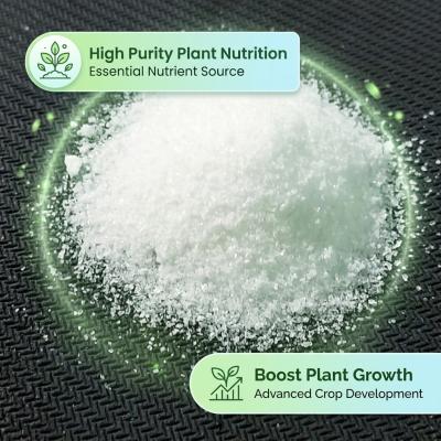 China 61% Phosphorus MAP Monoammonium Phosphate 50Kg Mono Ammonium for sale